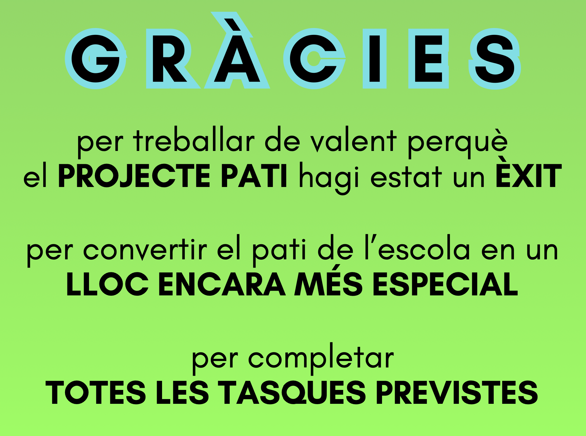 Projecte Pati 2024 | Afa Escola Puiggraciós